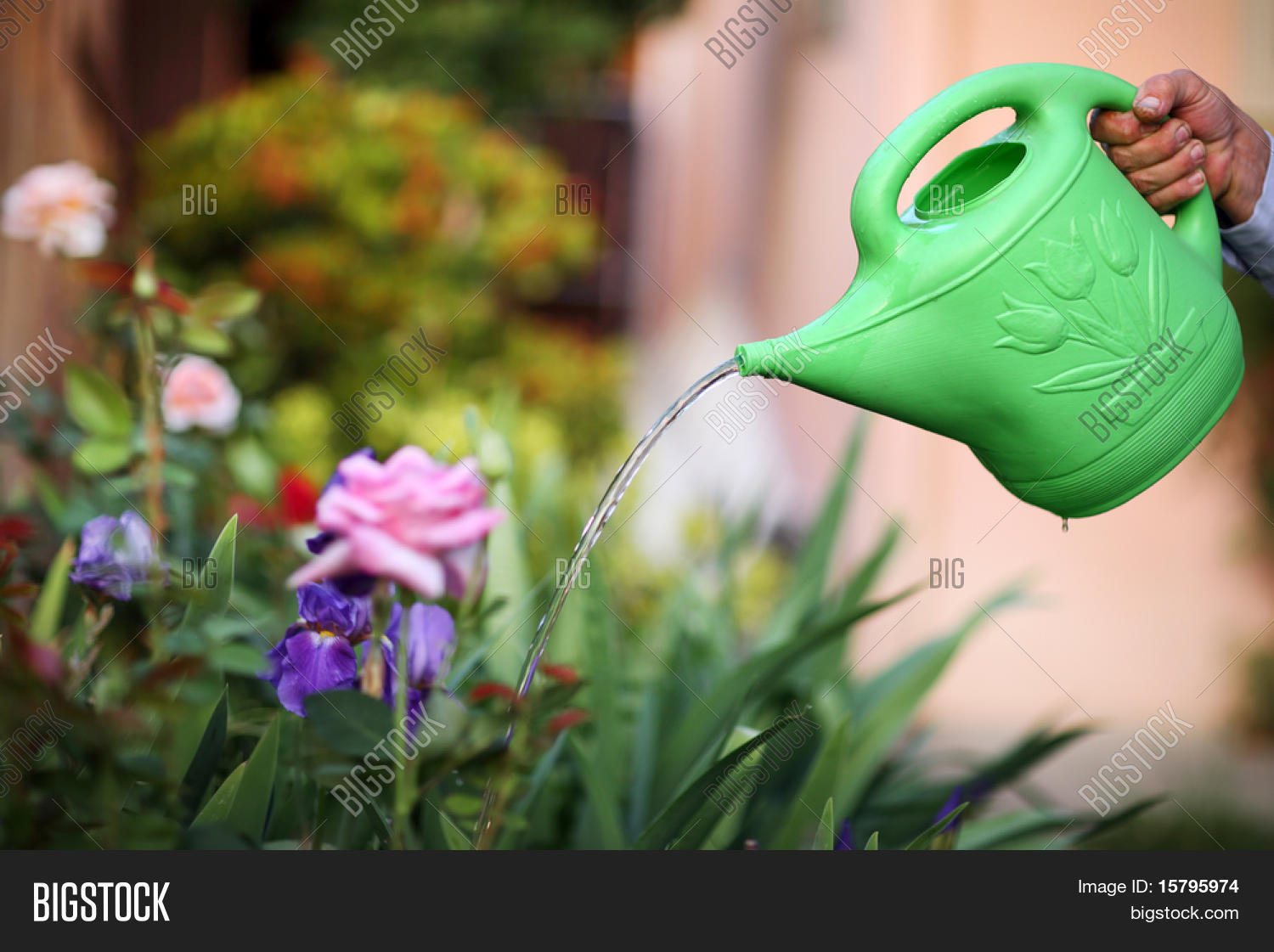 Hand Holding Watering Image & Photo (Free Trial) | Bigstock