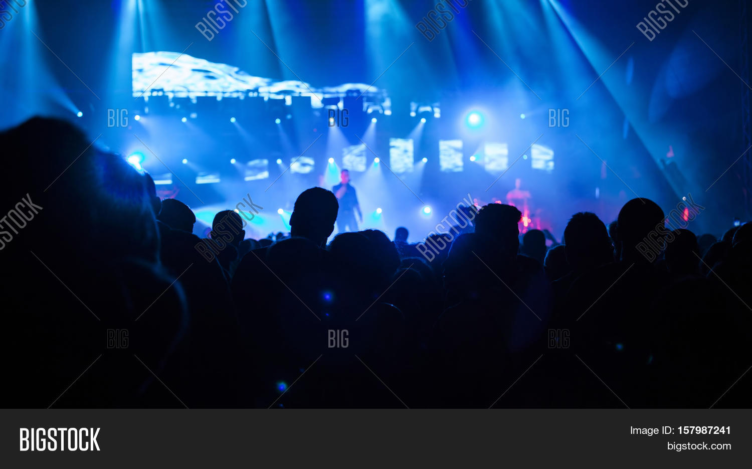 Crowd Concert - Image & Photo (Free Trial) | Bigstock