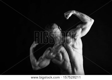 Bodybuilder 图片和照片（免费试用） | Bigstock