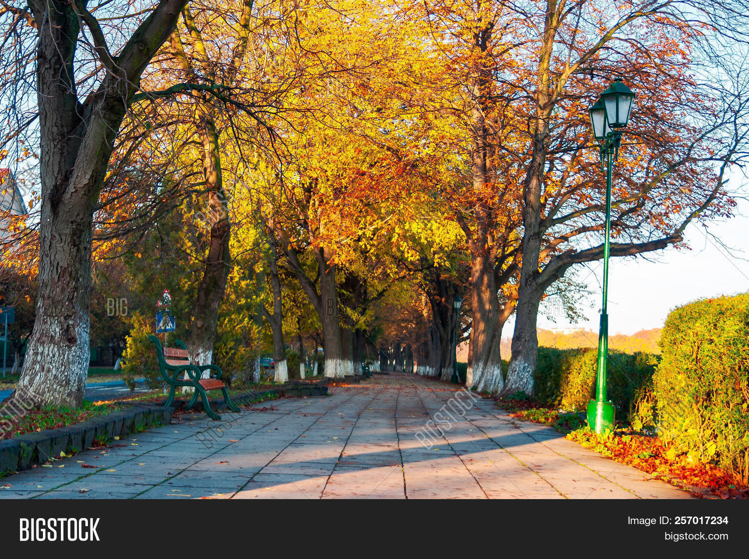 Green City Light On Image & Photo (Free Trial) | Bigstock