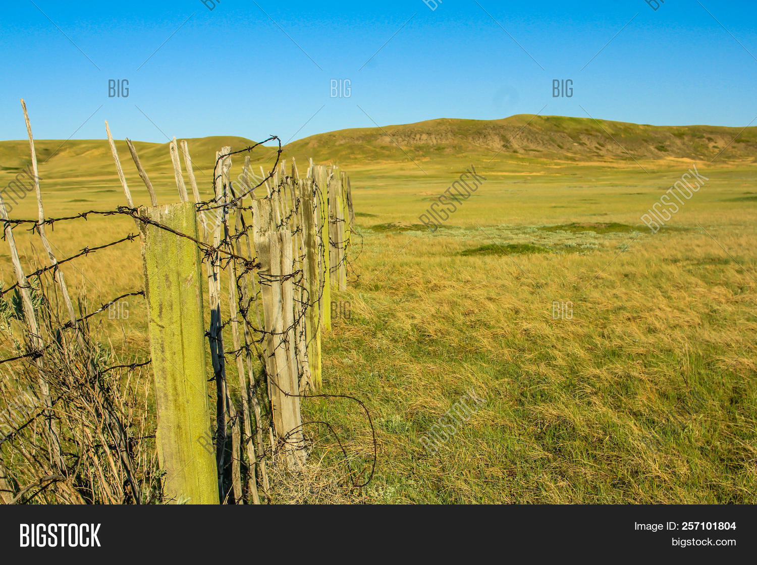 Farm Lands Fence Lines Image & Photo (Free Trial) | Bigstock