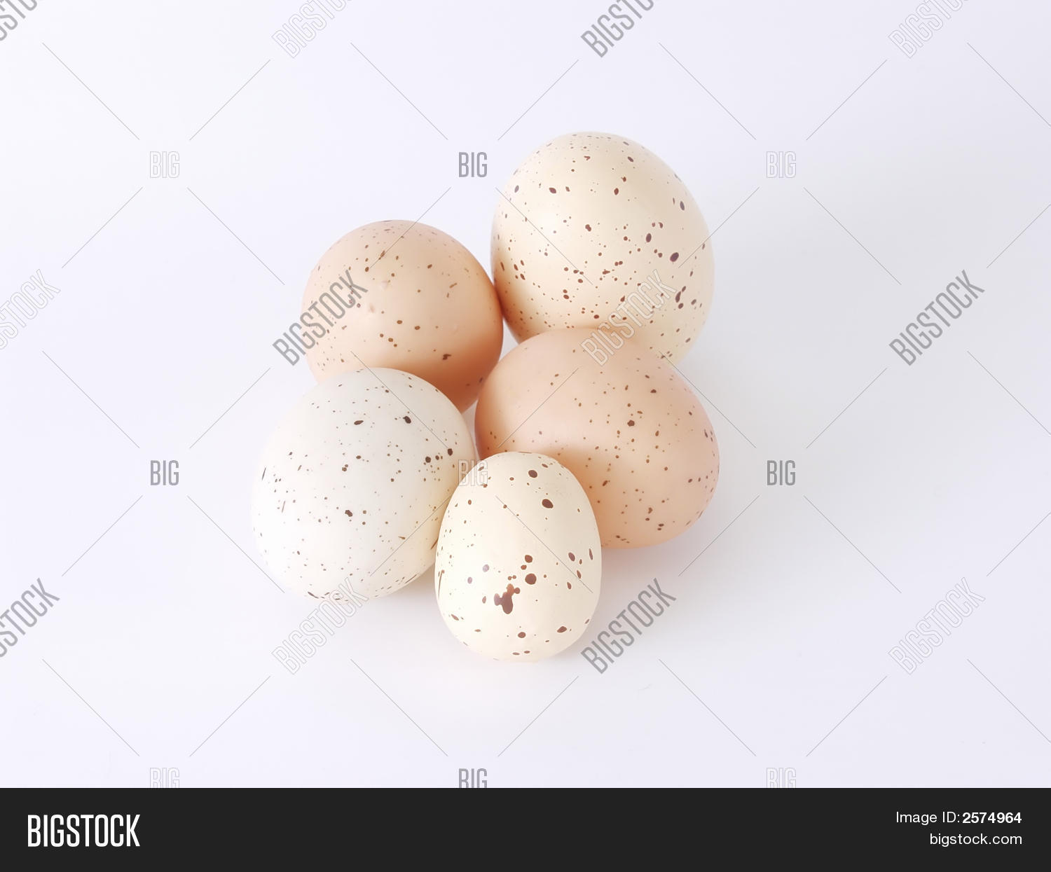 Speckled Eggs Image & Photo (Free Trial) | Bigstock