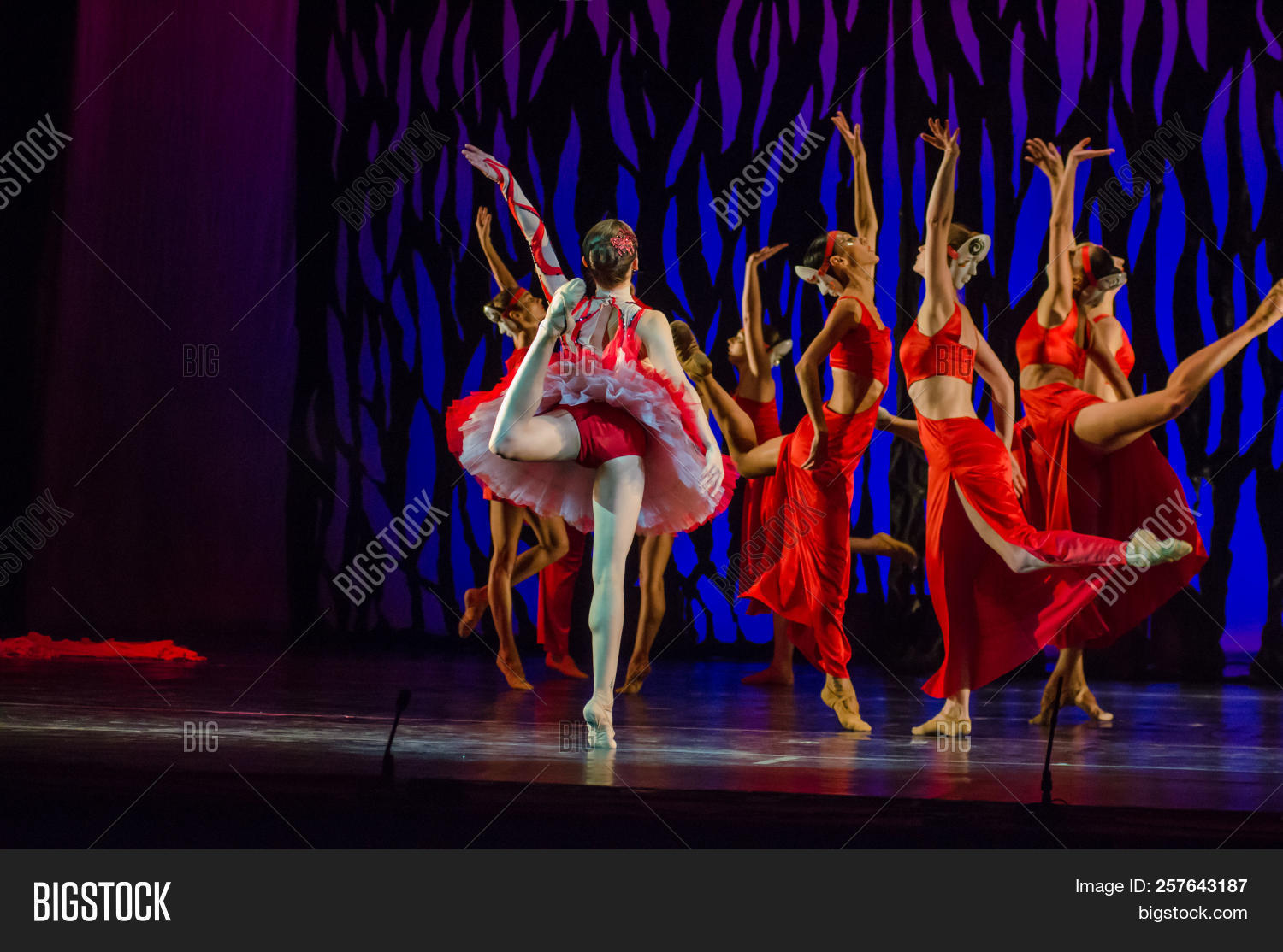 Bolero Ballet Image & Photo (Free Trial) | Bigstock