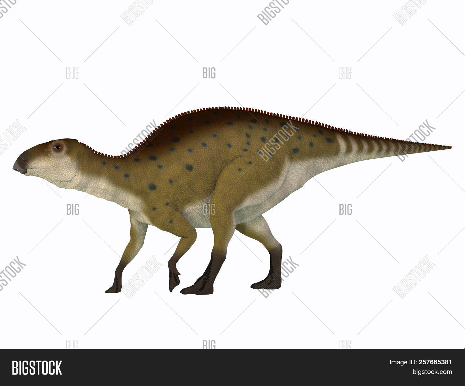 Brachylophosaurus Image & Photo (Free Trial) | Bigstock