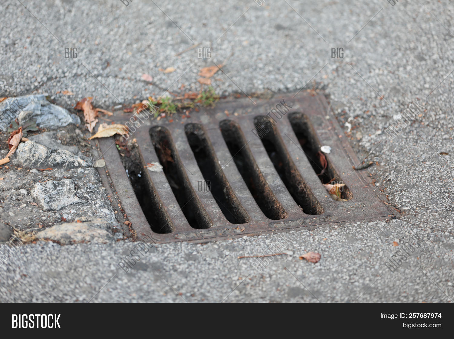 Metal Drain Grate On Image & Photo (Free Trial) | Bigstock