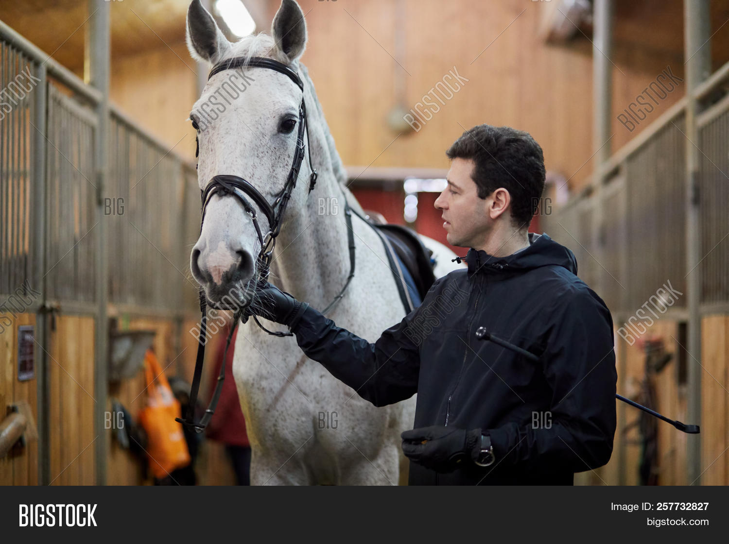 Man Holds White Horse Image & Photo (Free Trial) | Bigstock