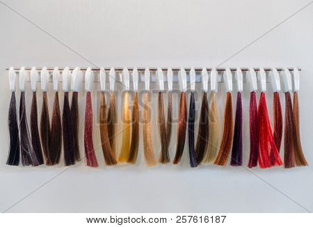 Hair Dye Strands Image & Photo (Free Trial) | Bigstock