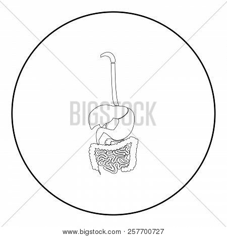 Digestive System Icon Vector & Photo (Free Trial) | Bigstock