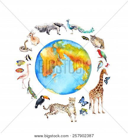 World Globe, Wild Image & Photo (Free Trial) | Bigstock