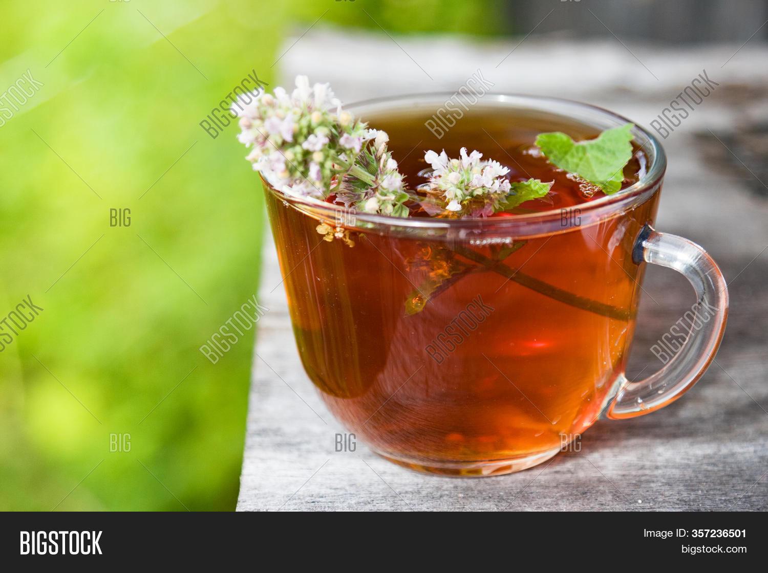 Fresh Hot Tea Melissa Image & Photo (Free Trial) | Bigstock