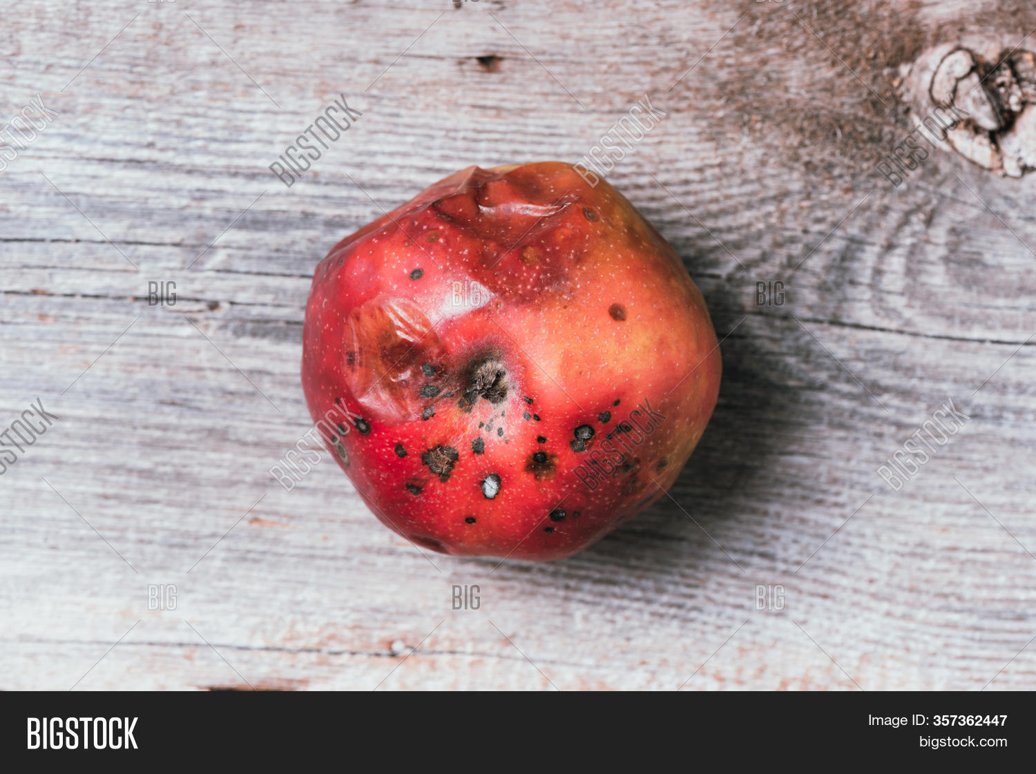 Spoiled Bad Red Apple Image & Photo (Free Trial) | Bigstock