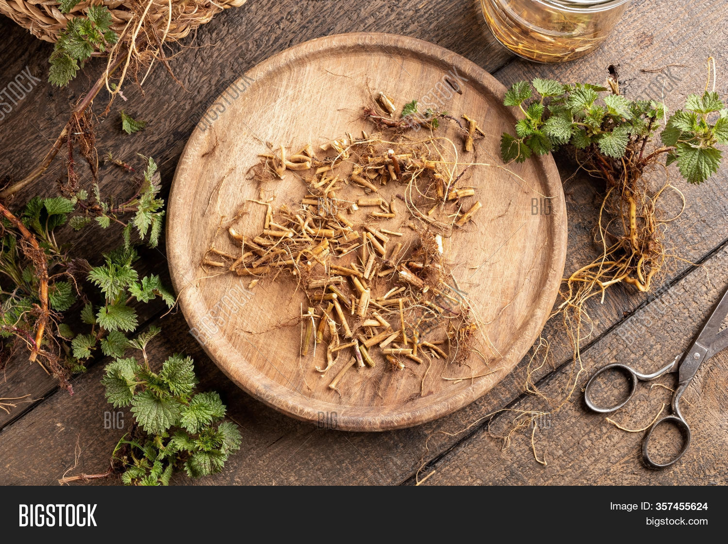 Cutting Fresh Nettle Image & Photo (Free Trial) | Bigstock