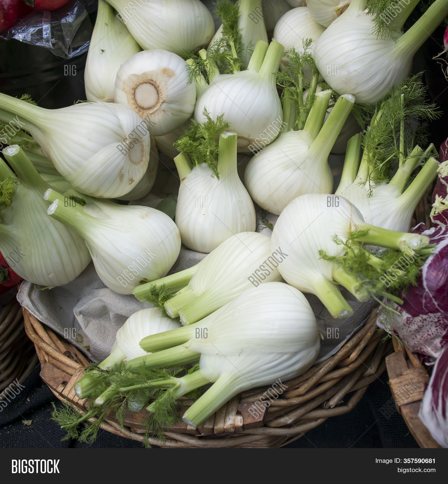 Ripe Fresh Fennel Image & Photo (Free Trial) | Bigstock