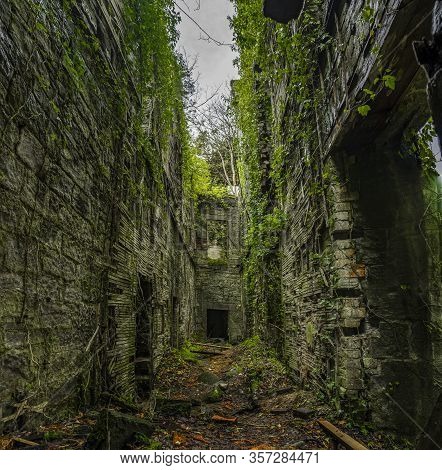 Old Path Between High Image & Photo (Free Trial) | Bigstock