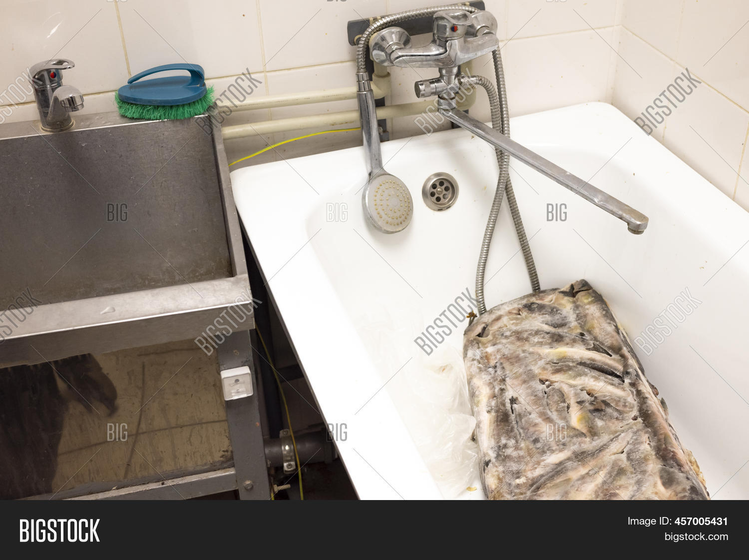 Defrosting Frozen Fish Image & Photo (Free Trial) | Bigstock