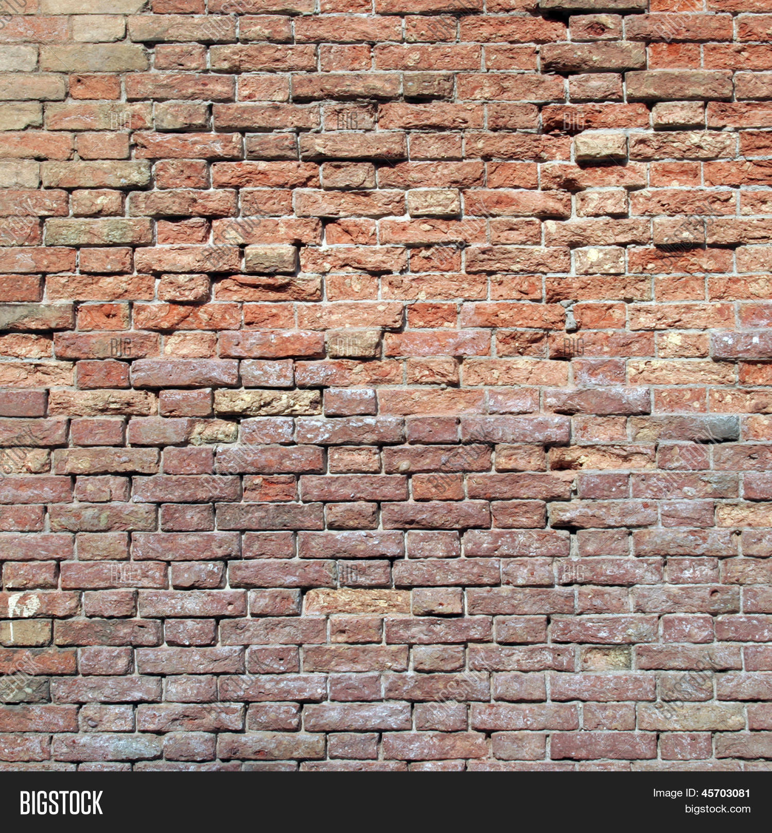 High Resolution Image & Photo (Free Trial) | Bigstock