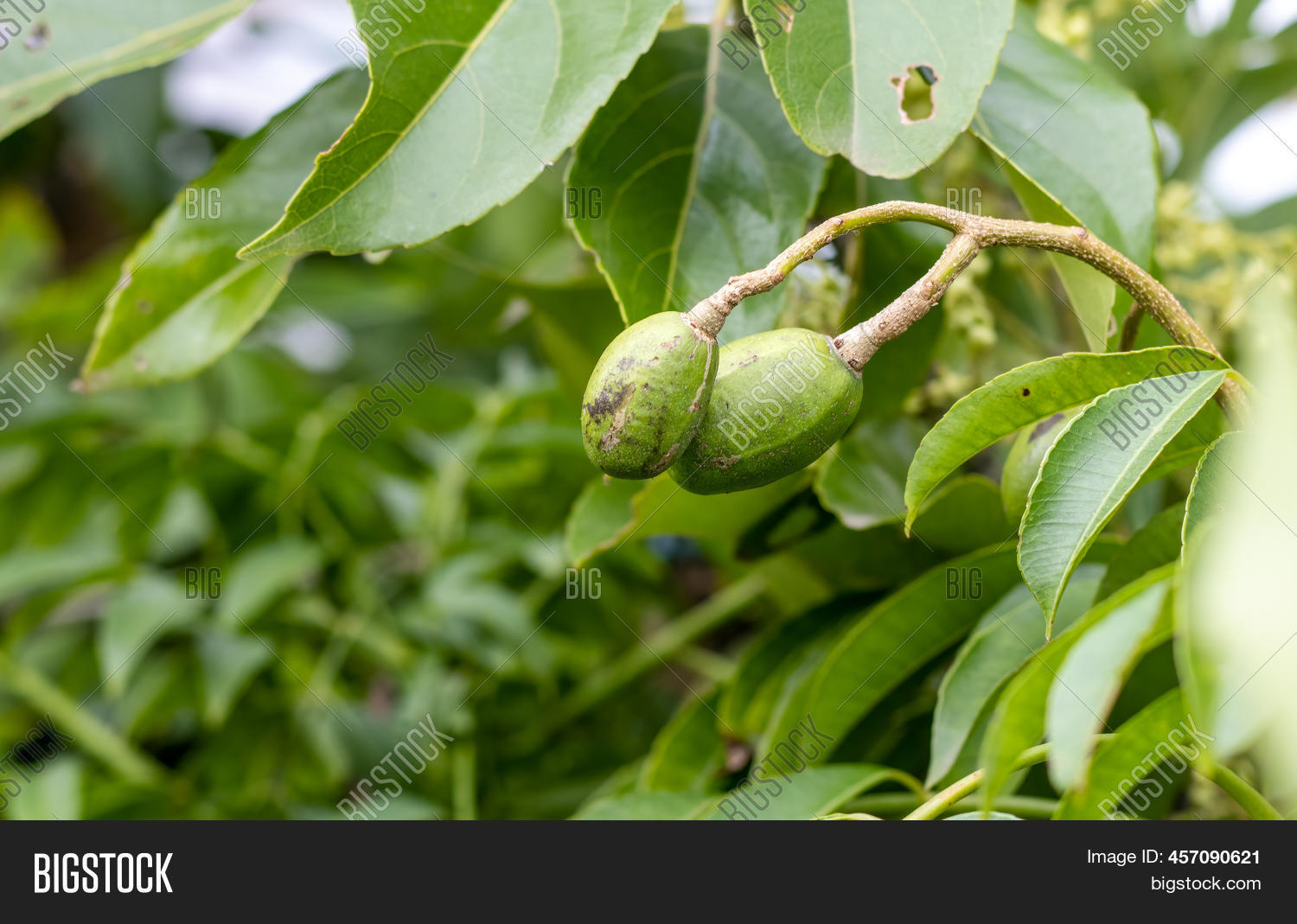 Close Shot Young Image & Photo (Free Trial) | Bigstock