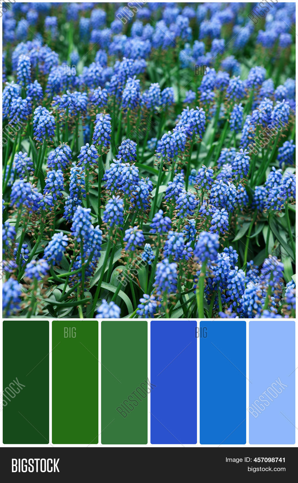 Color Palette Many Image & Photo (Free Trial) | Bigstock