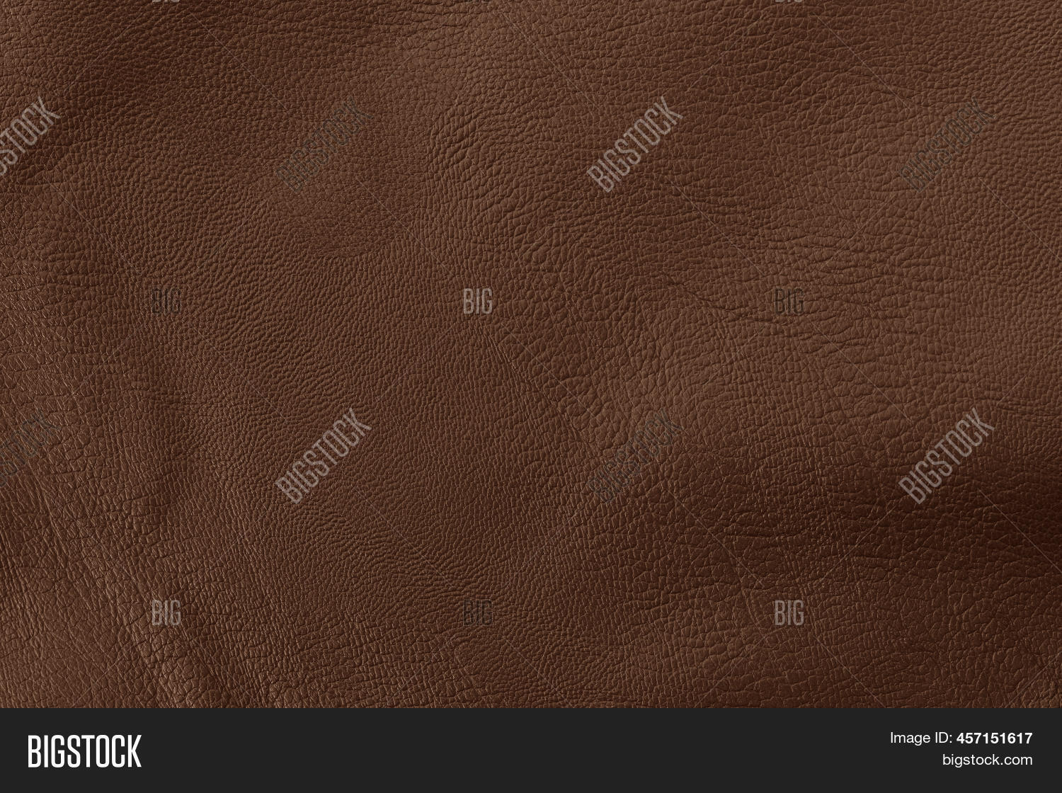 Dark Brown Leather Image & Photo (Free Trial) | Bigstock