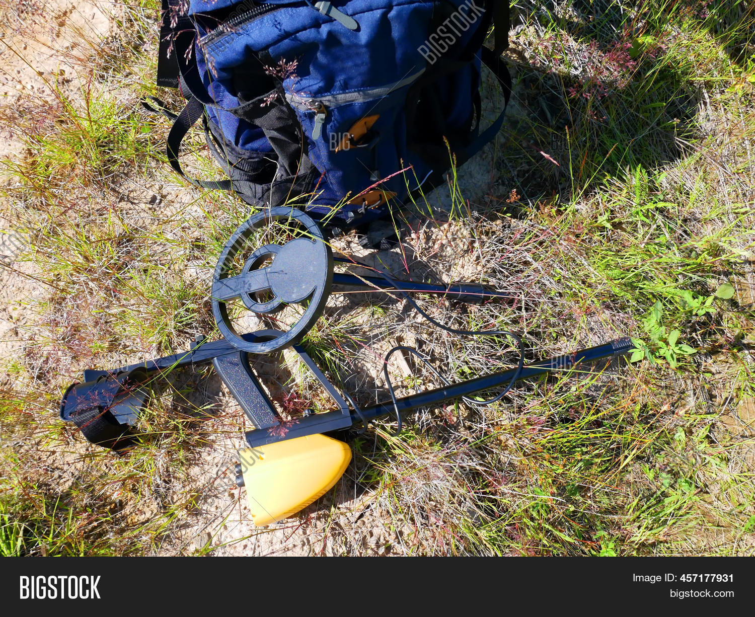 Metal Detector Search Image & Photo (Free Trial) | Bigstock