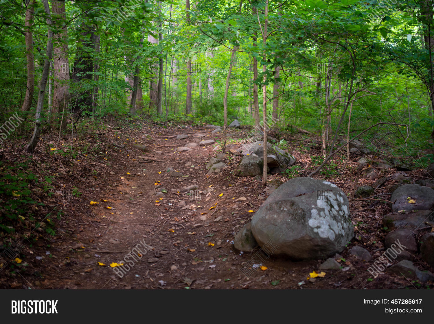 Selective Focus Draws Image & Photo (Free Trial) | Bigstock