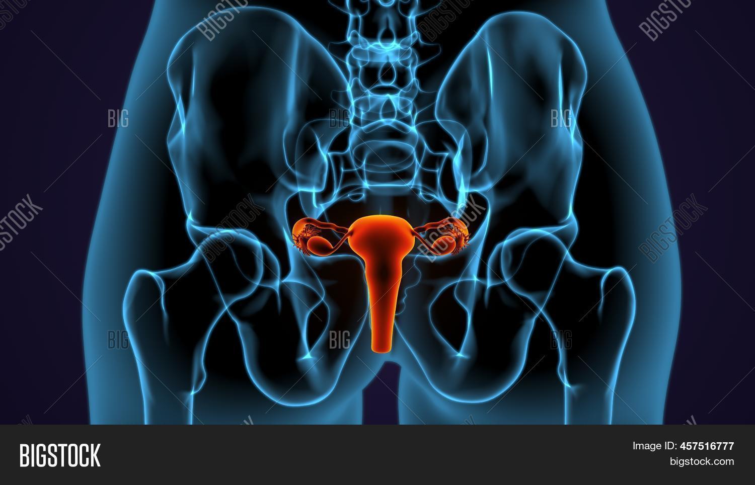 3d Illustartion Human Image & Photo (Free Trial) | Bigstock