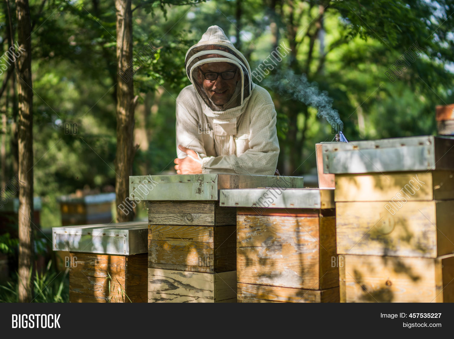 Beekeeper Standing By Image & Photo (Free Trial) | Bigstock