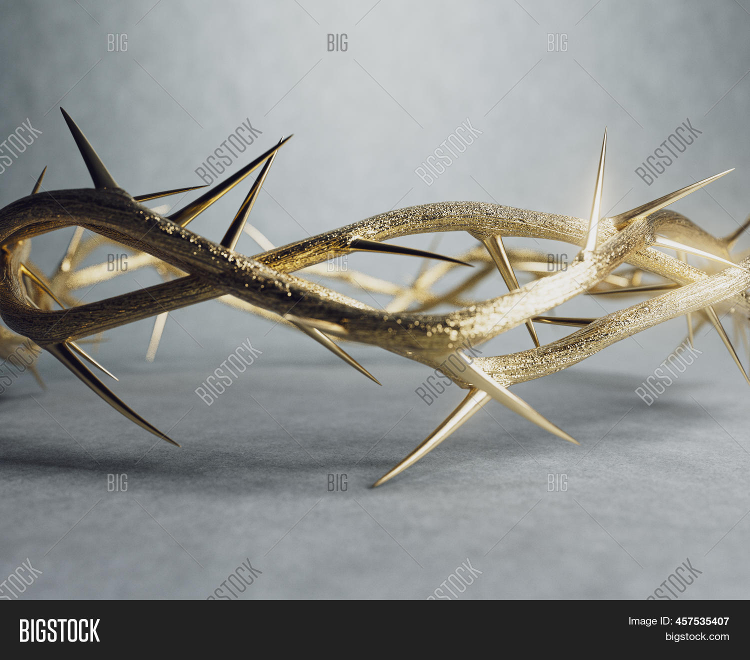 Branches Thorns Made Image & Photo (Free Trial) | Bigstock