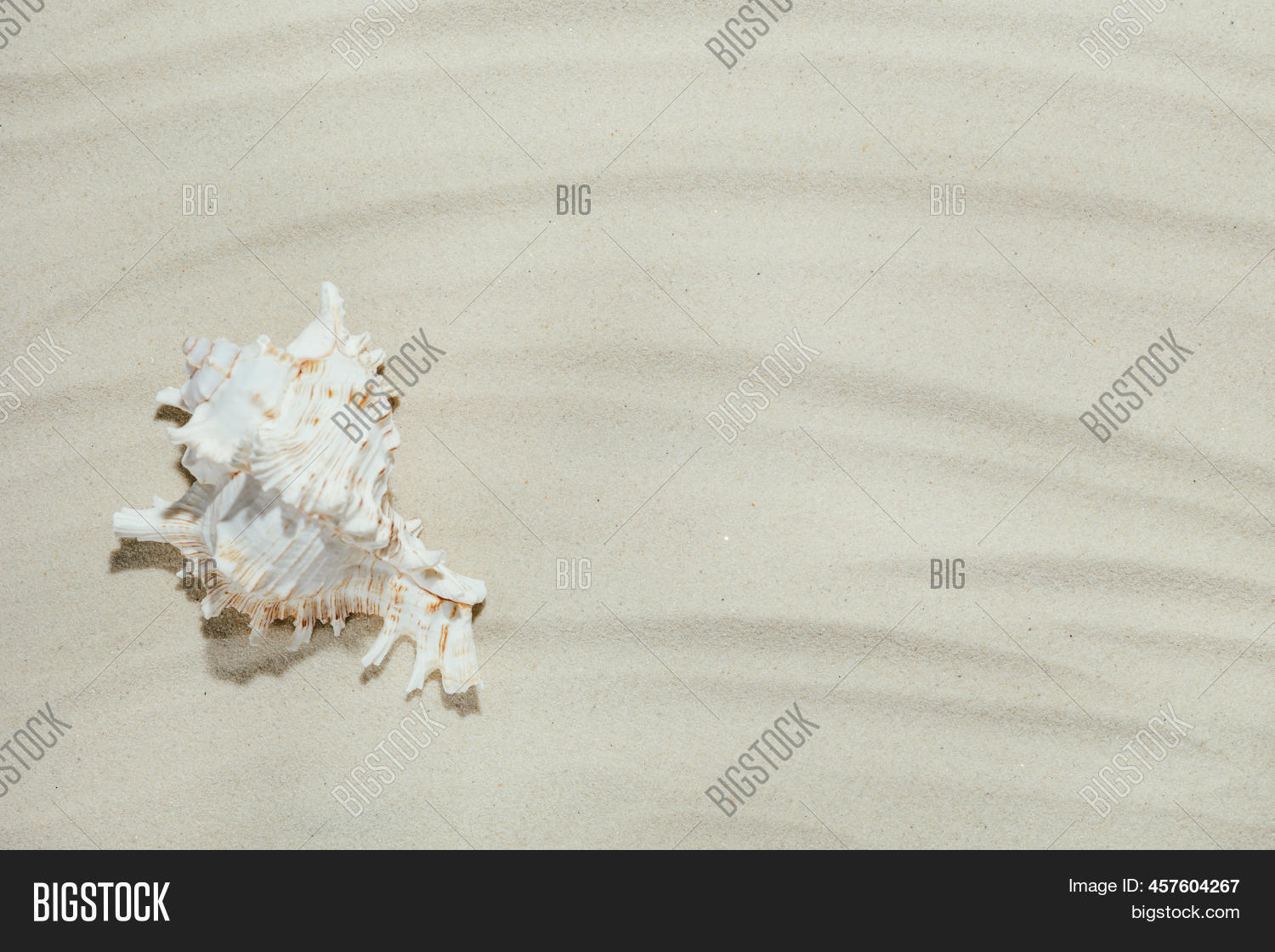 Background Light Beach Image & Photo (Free Trial) | Bigstock