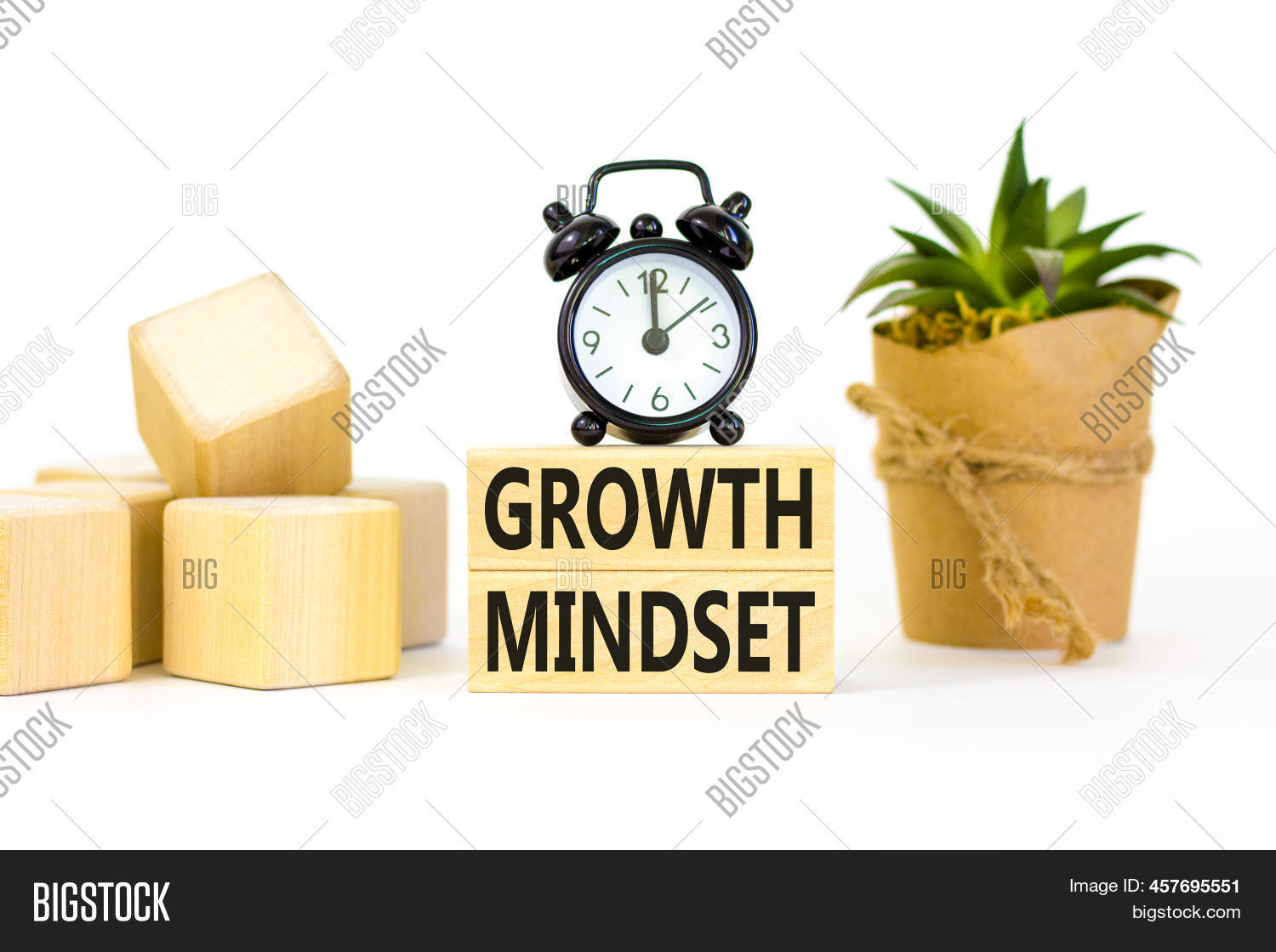 Growth Mindset Symbol Image & Photo (Free Trial) | Bigstock