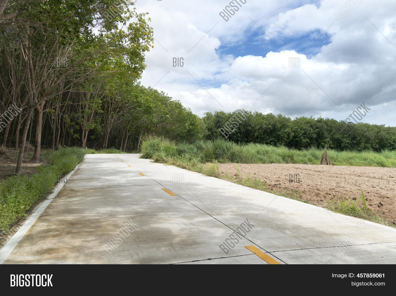 Concrete Road That Image & Photo (Free Trial) | Bigstock