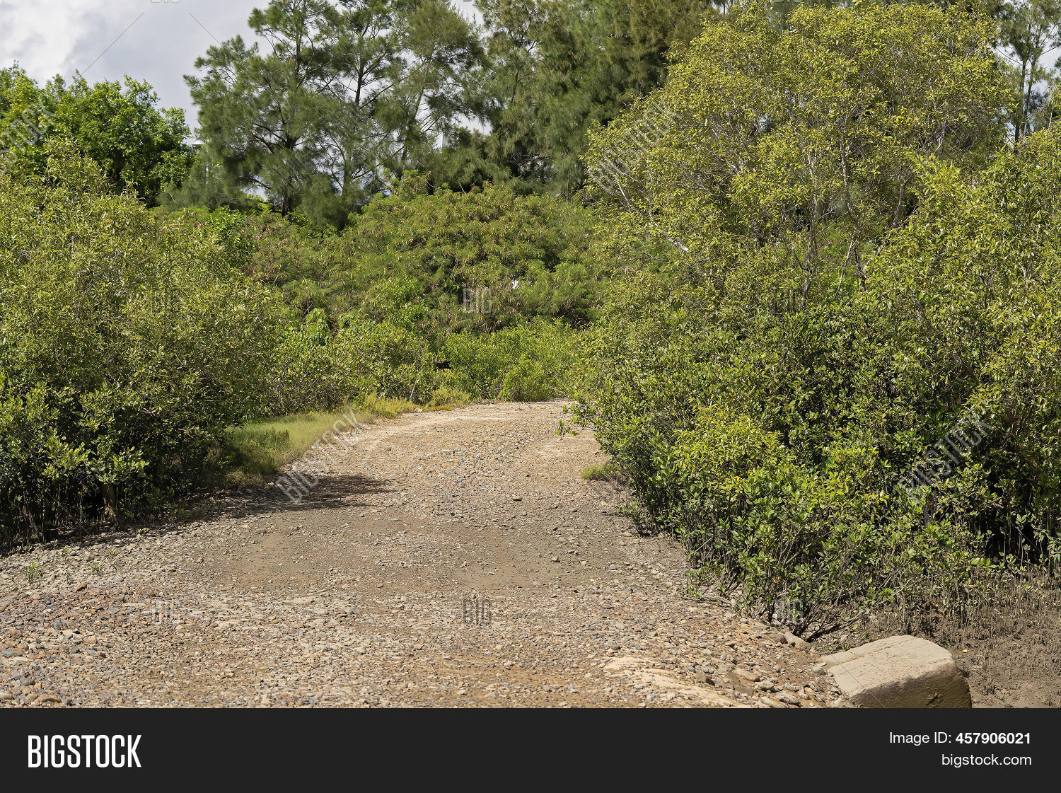 Gravel Track Through Image & Photo (Free Trial) | Bigstock