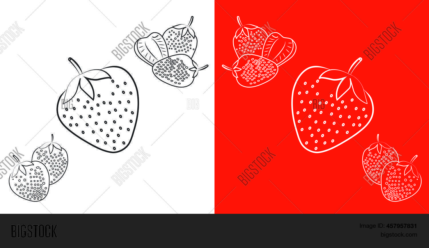Strawberry Vector Vector & Photo (Free Trial) | Bigstock