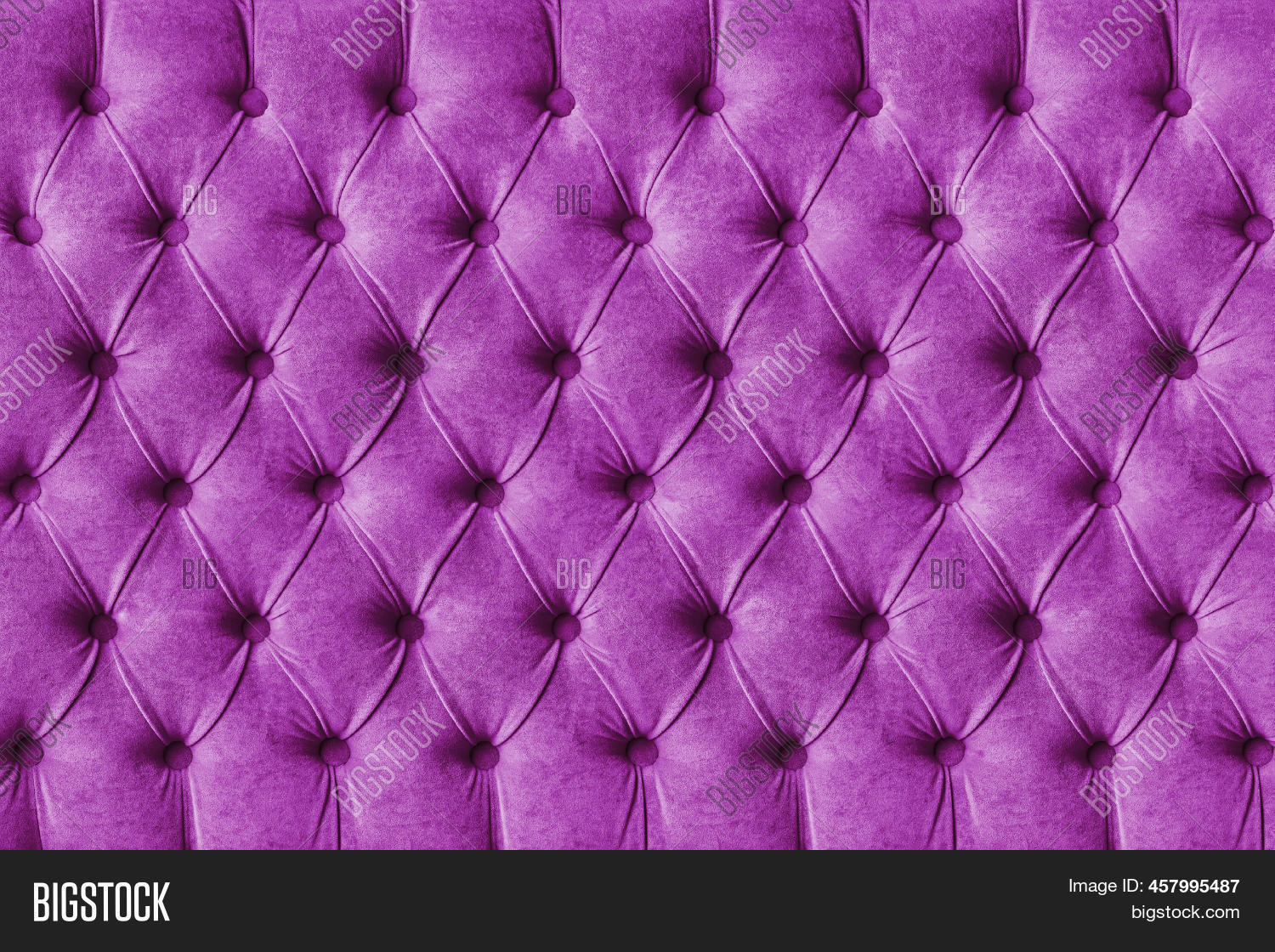 Purple Capitone Image & Photo (Free Trial) | Bigstock