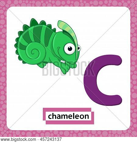 Letter C Lowercase Vector & Photo (Free Trial) | Bigstock