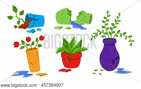 Flowers Broken Pots Vector & Photo (Free Trial) | Bigstock