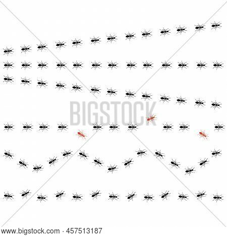 Ants Trail Set, Lines Vector & Photo (Free Trial) | Bigstock
