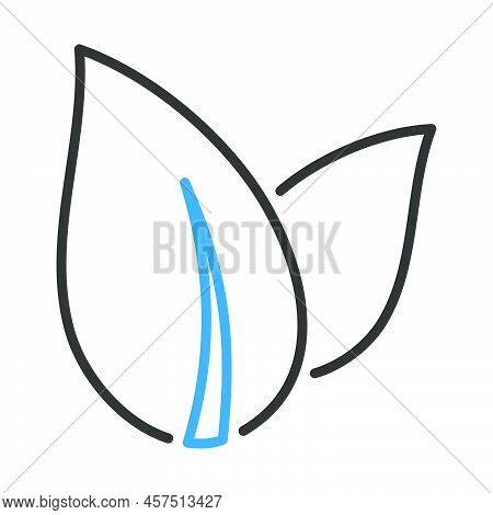 Spa Leaves Icon. Vector & Photo (Free Trial) | Bigstock