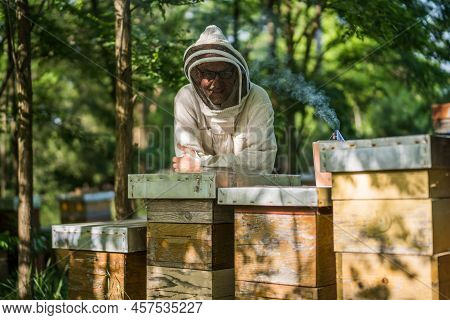 Beekeeper Standing By Image & Photo (Free Trial) | Bigstock