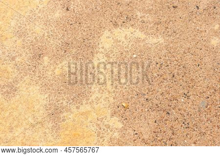 Close- Rough Limestone Image & Photo (Free Trial) | Bigstock