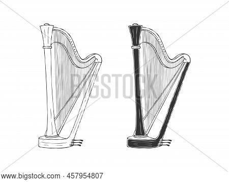 Harp. Hand-drawn Vector & Photo (Free Trial) | Bigstock