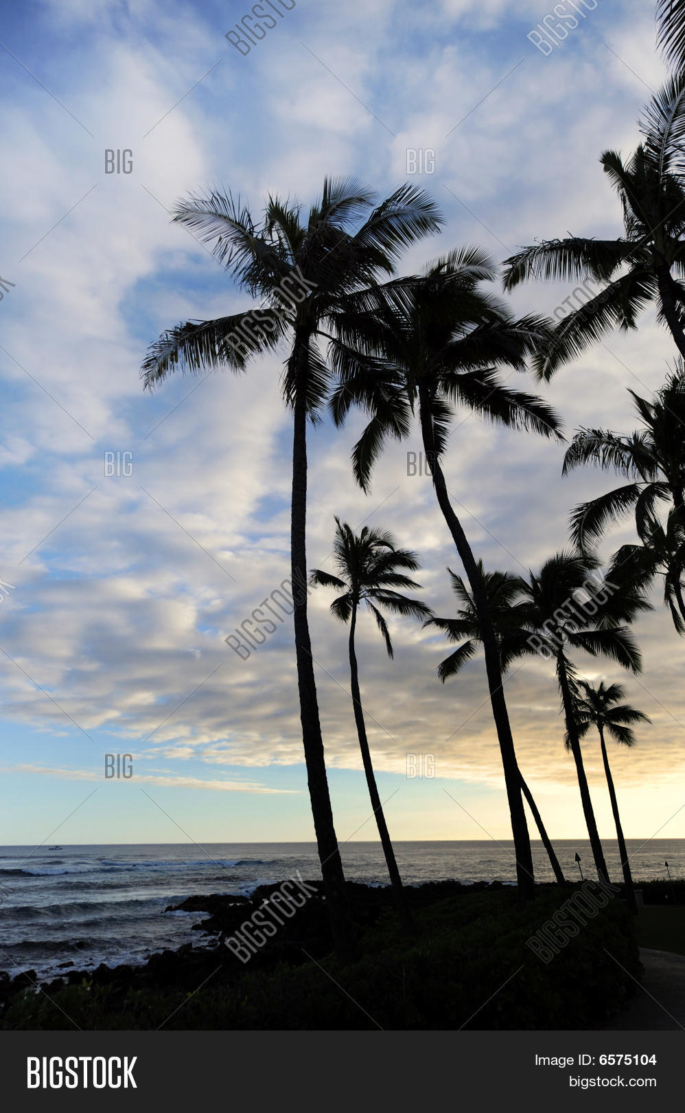 Hawaii Tropics Image & Photo (Free Trial) | Bigstock