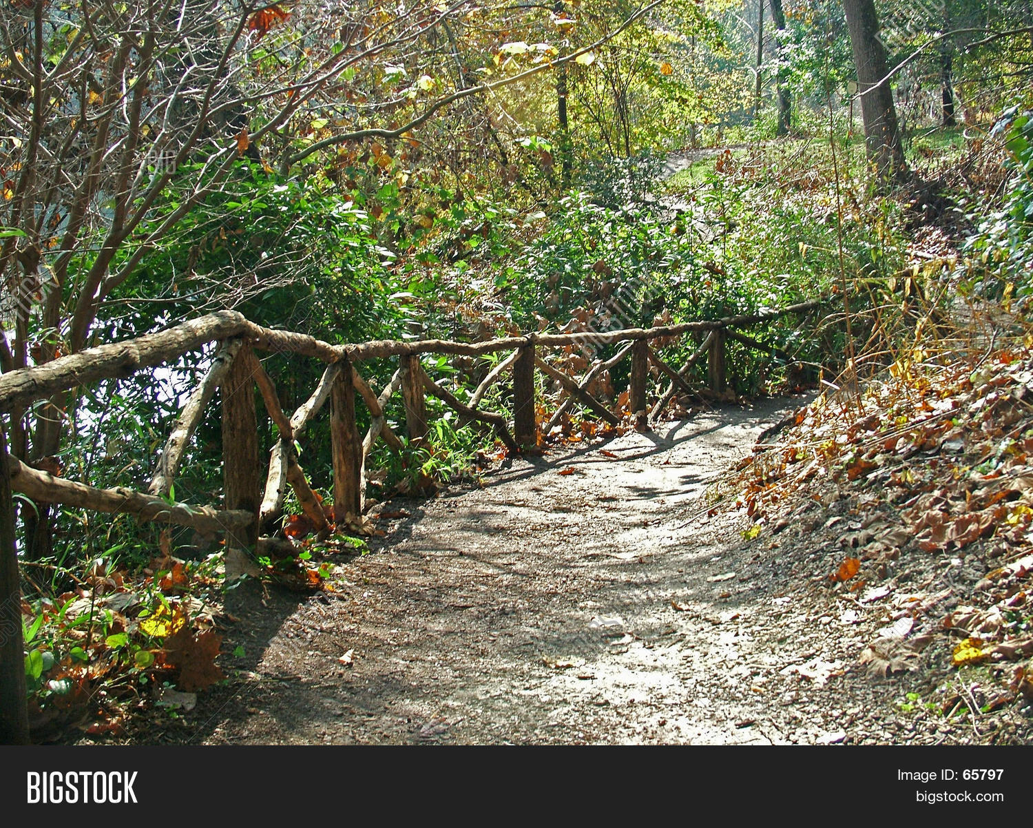Branch Handrail Image & Photo (Free Trial) | Bigstock