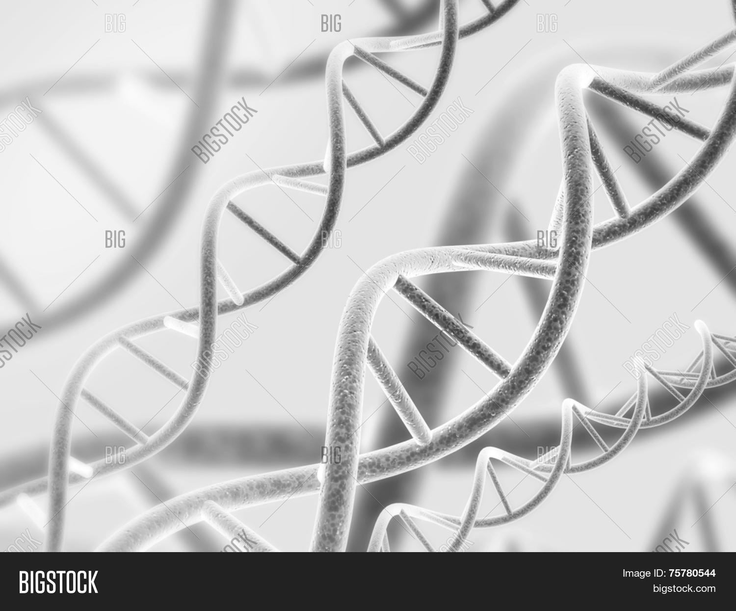 Digital 3d Model DNA Image & Photo (Free Trial) | Bigstock