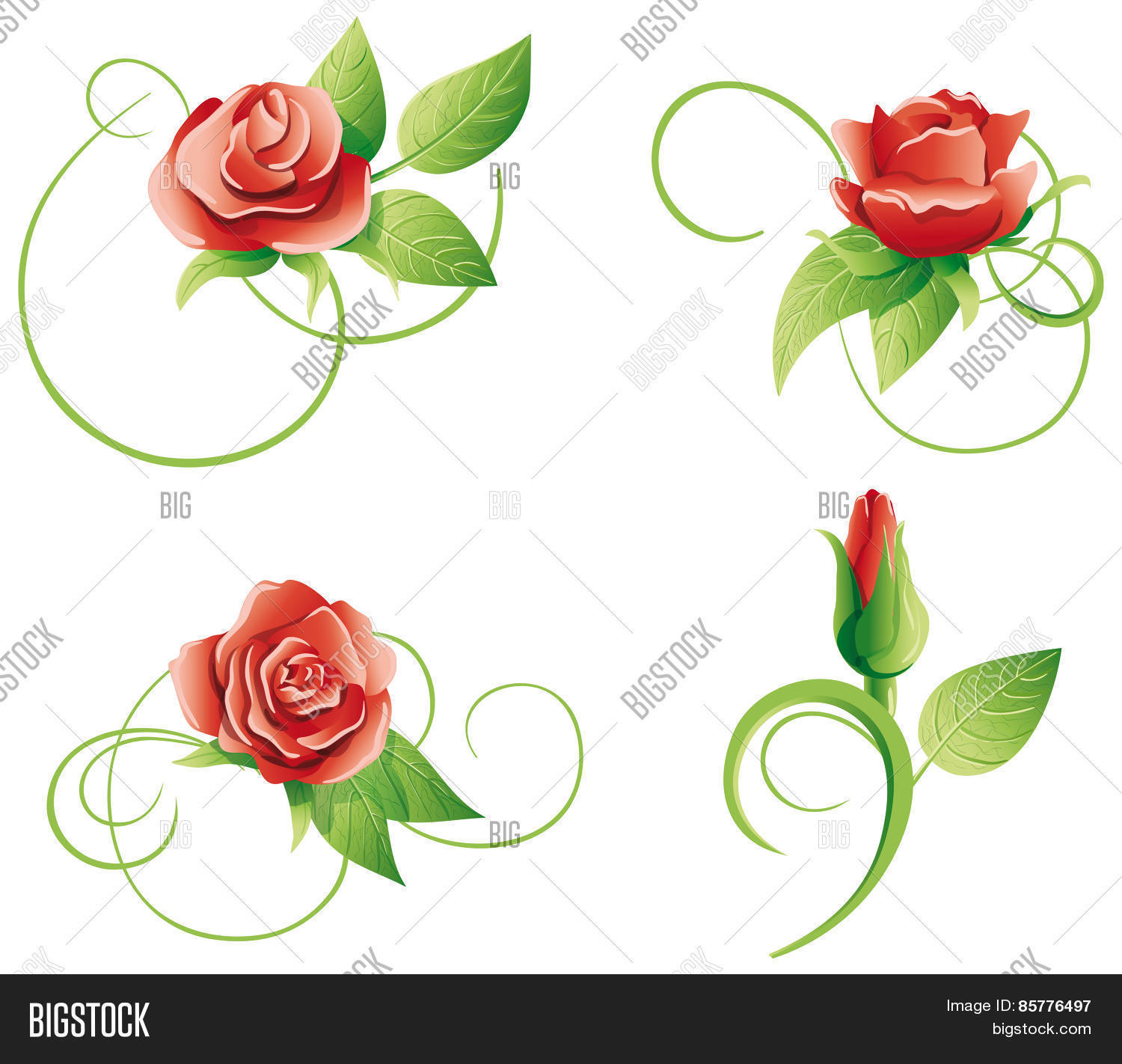 Set Four Roses. Vector & Photo (Free Trial) | Bigstock