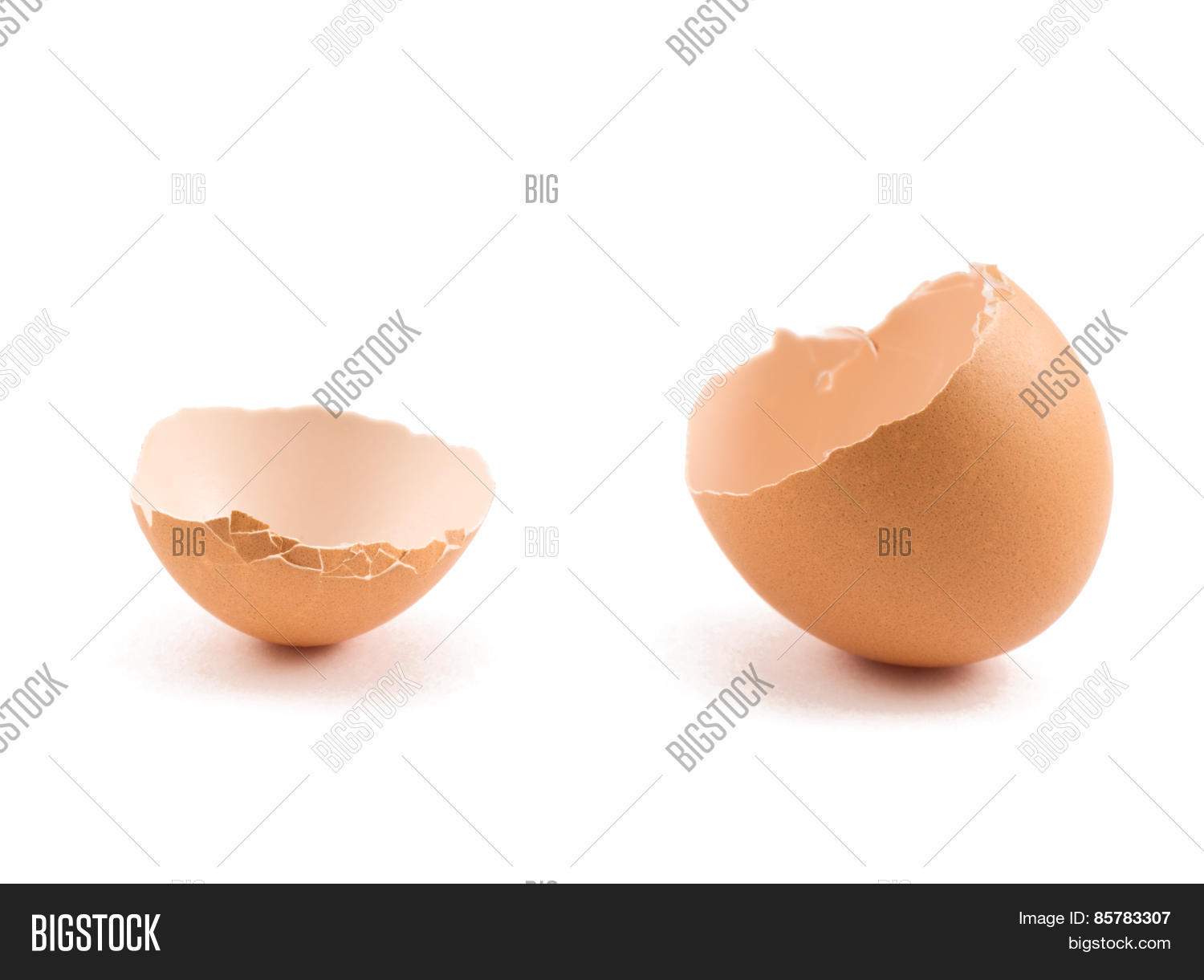 Egg Shell Cracked Two Image & Photo (Free Trial) | Bigstock
