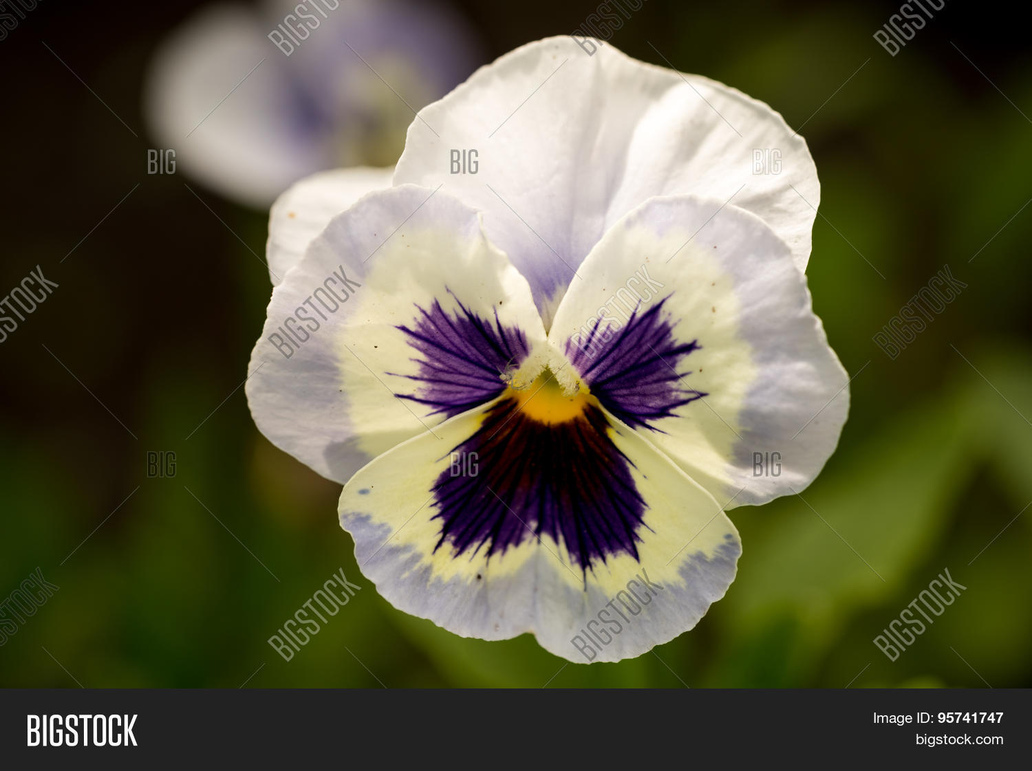Botanic Gardening Image & Photo (Free Trial) | Bigstock