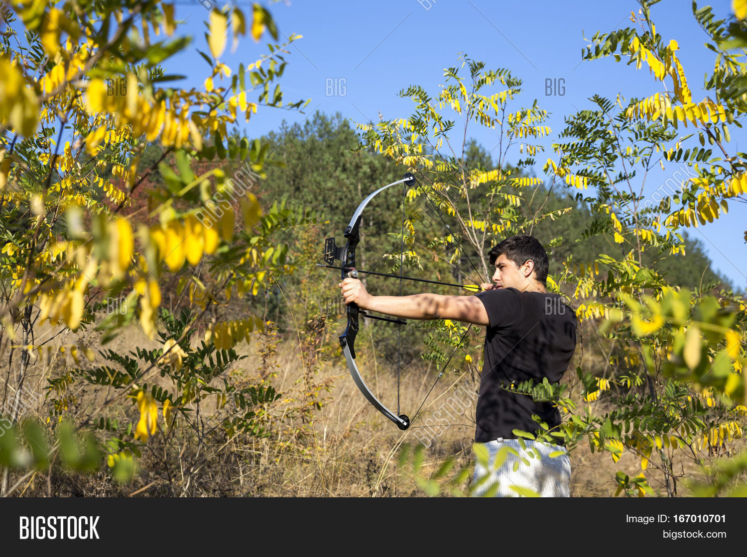 Archer Draws His Image & Photo (Free Trial) | Bigstock