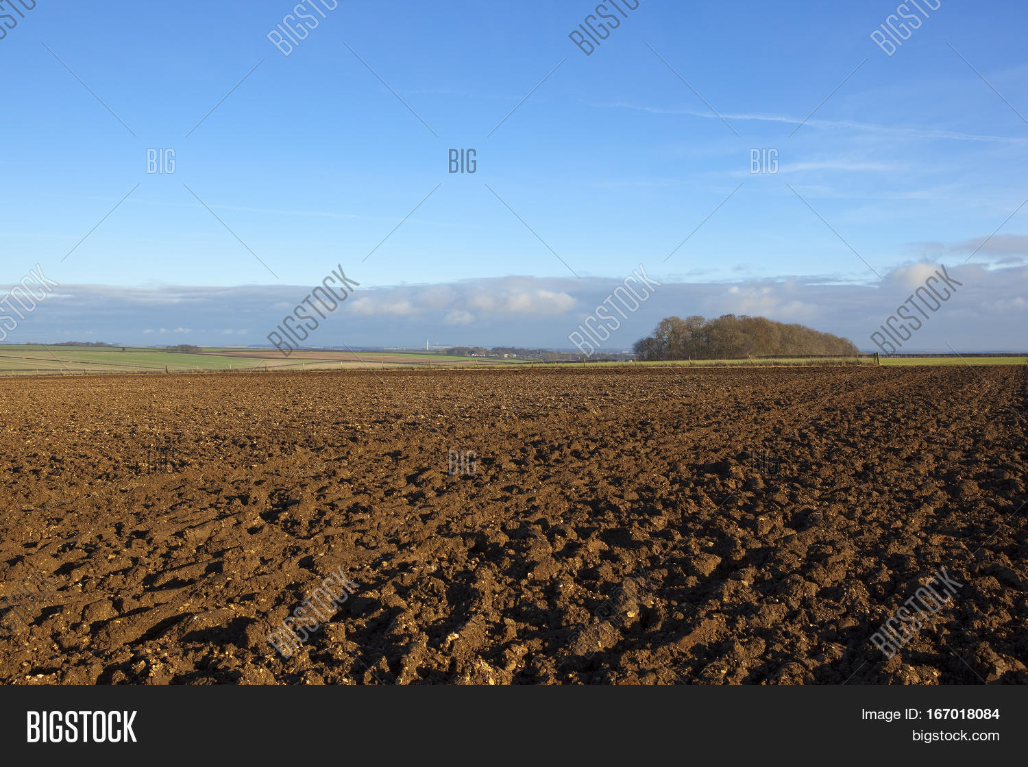 Plow Soil Copse Image & Photo (Free Trial) | Bigstock