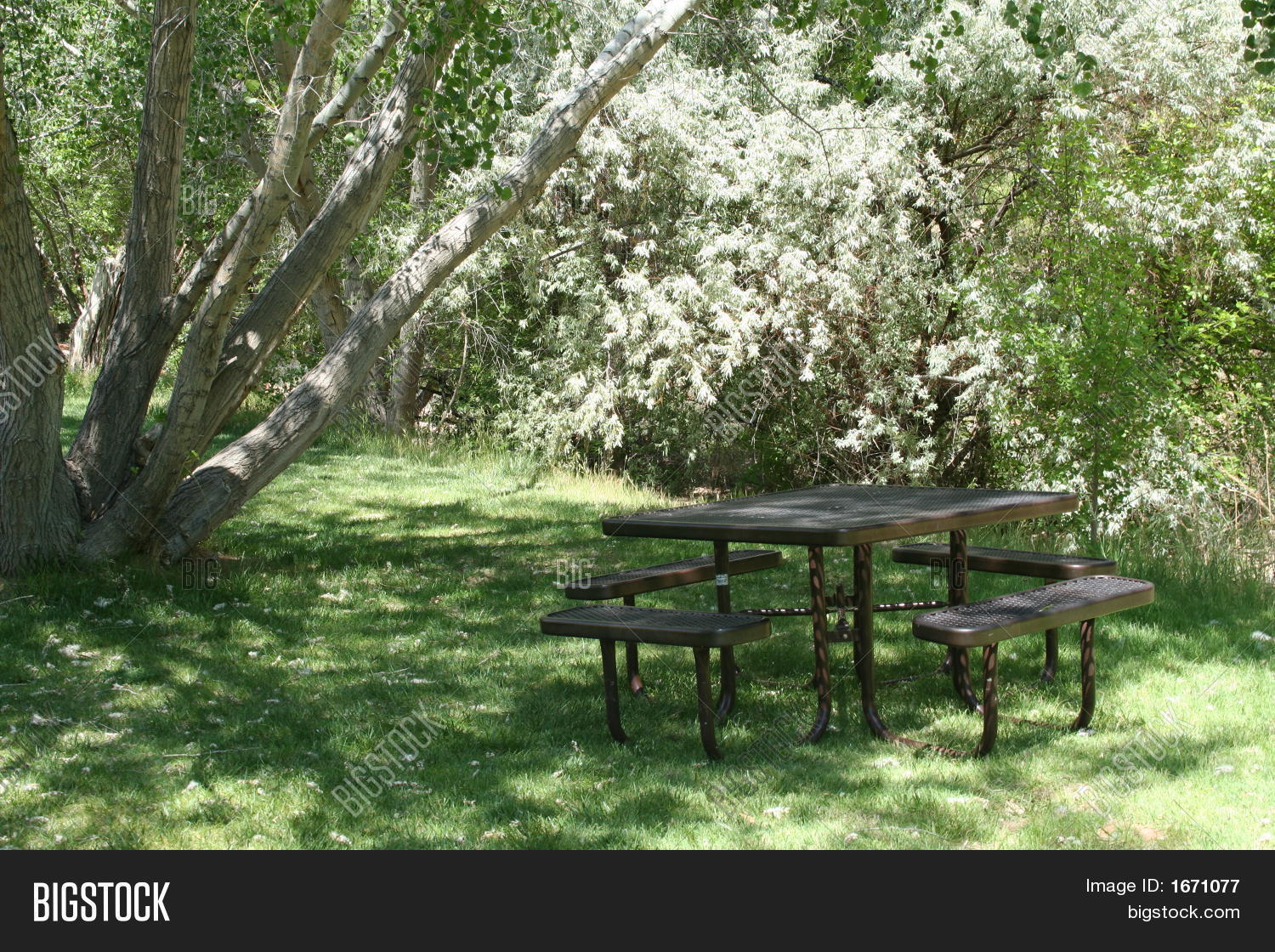 Picnic Table Under Image & Photo (Free Trial) | Bigstock